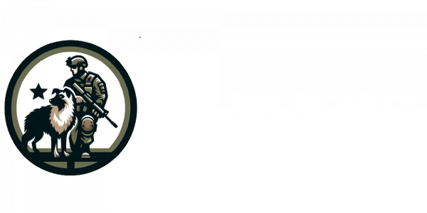 Church security set up and training – SheepDogSecurity